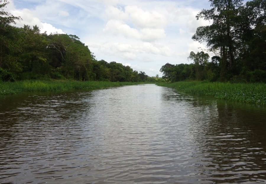 El río Soco se desbordó - MunicipiosAlDia.com :: Edición República ...